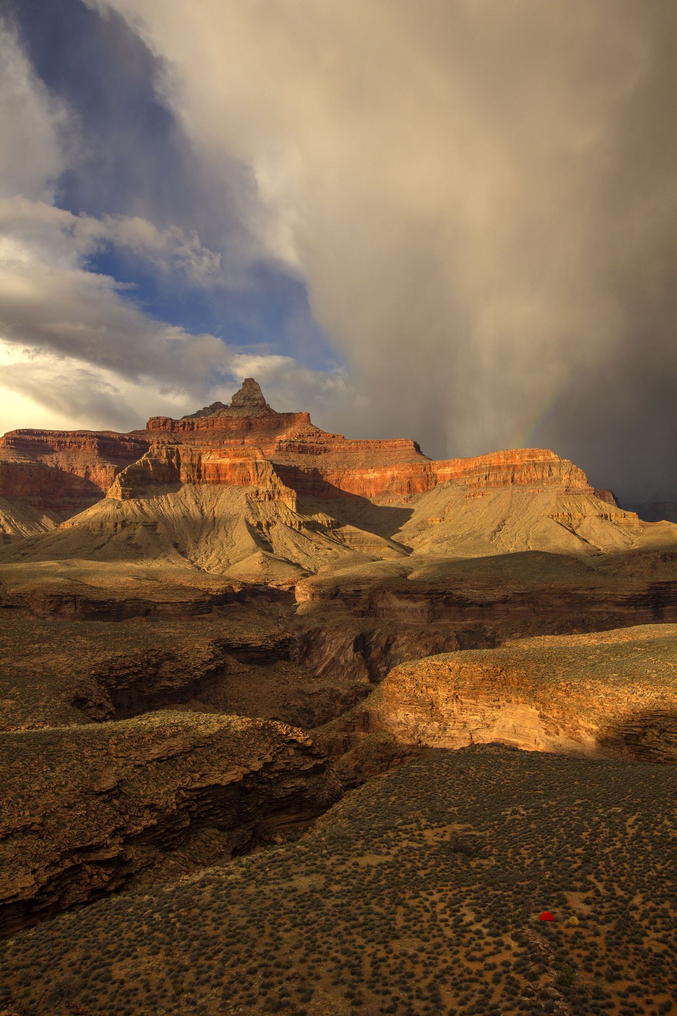 Siblings and Similarities. A walk on Grand Canyon’s Tonto Trail to ...